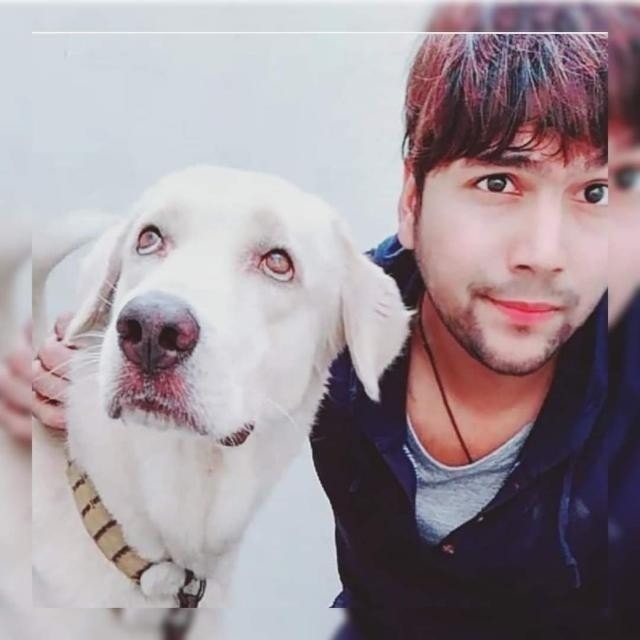 Laraib Rabbani | Dogs and Cats Are Love